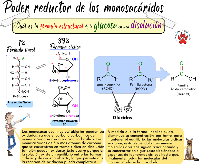 2.2.2 Propiedades químicas de los monosacáridos